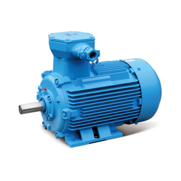 YBX4 系列隔爆型高效率三相异步电动机(兼粉尘防爆） - 恒速控股有限公司