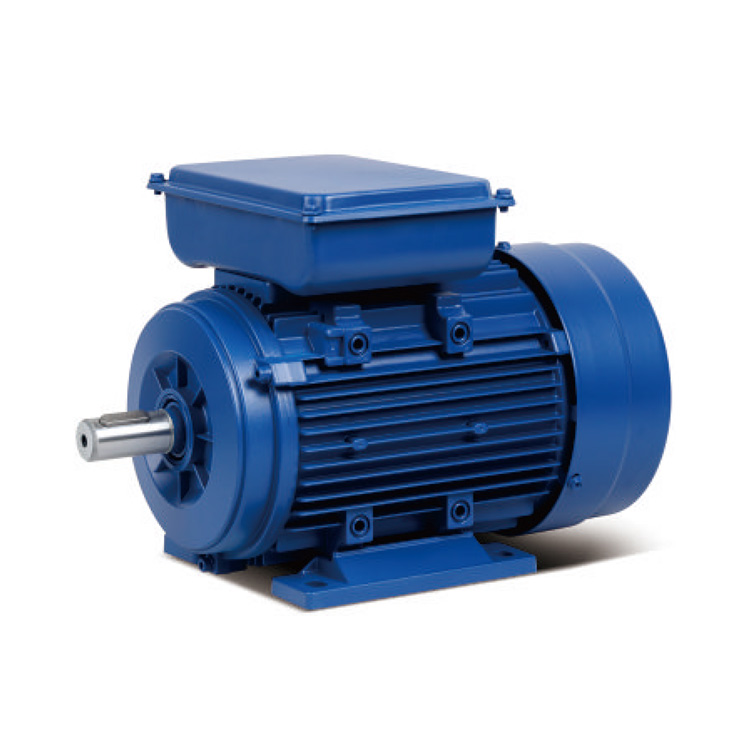 YL series two-value capacitor single-phase asynchronous motor - 恒速控股有限公司
