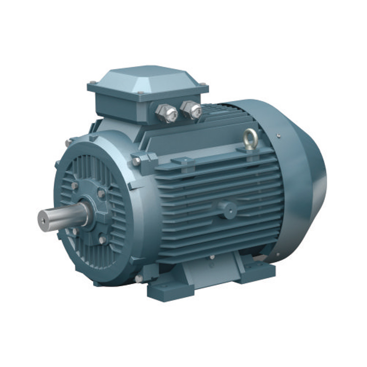 lE1/E2/E3/lE4 cast iron series three-phase asynchronous motors - 恒速控股有限公司