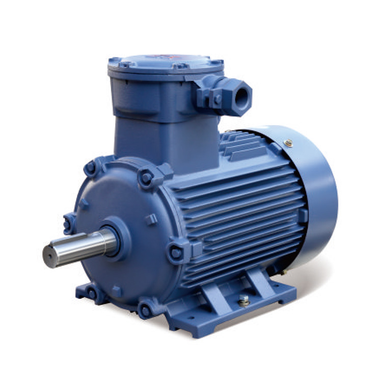 YBX3 series flameproof three-phase asynchronous motorAnd dust explosion-proof - 恒速控股有限公司