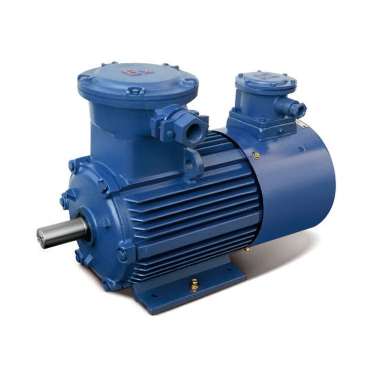 YBBP series flame proof variable-frequency adjustable-speed three-phase asynchronous motors And ...